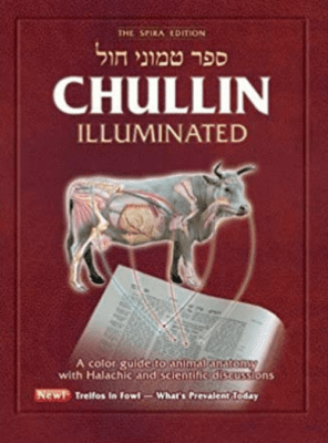 Curriculumoptions.org – General Studies Solutions For Torah Schools