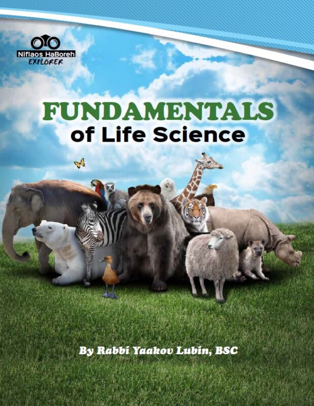 Fundamentals of Life Science – Curriculumoptions.org