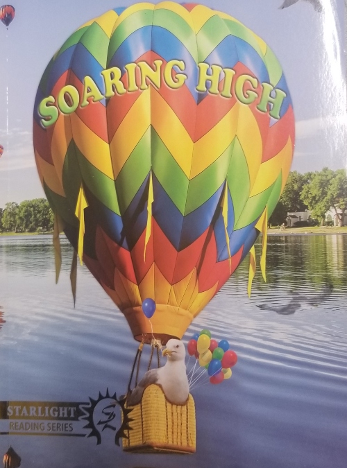 Soaring High – Curriculumoptions.org