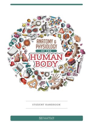 Human Body – Curriculumoptions.org