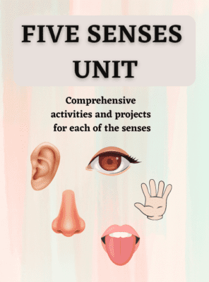 The Five Senses Unit – Curriculumoptions.org