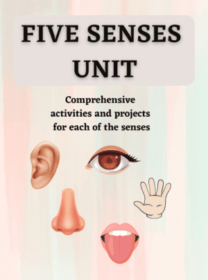 The Five Senses Unit – Curriculumoptions.org