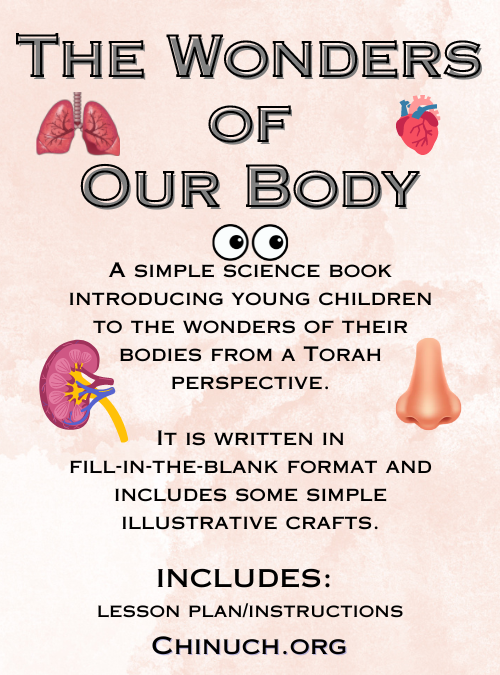 The Wonders of Our Body – Curriculumoptions.org